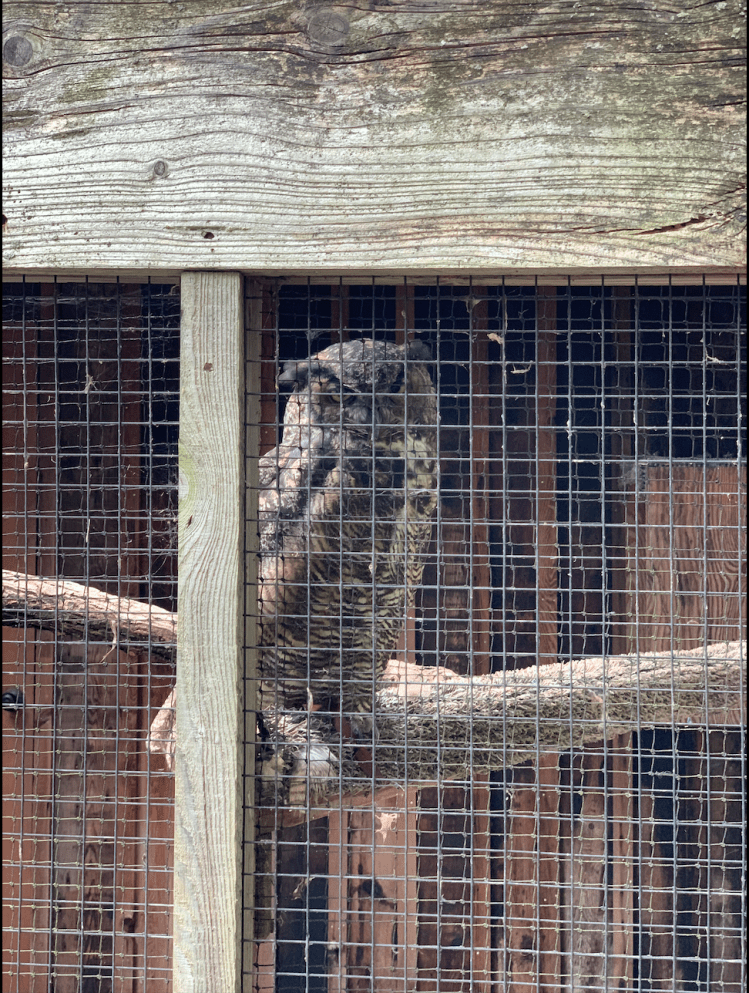 Flat Rock Brook Nature Center: Englewood, NJ – The Park Mama